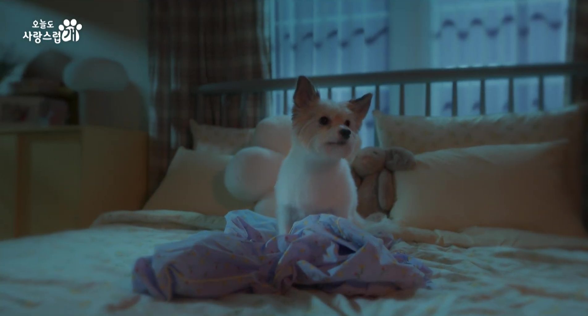 4 Peristiwa Tidak Sesuai Rencana Bagi Cha Eun Woo & Park Gyu Young di A ...