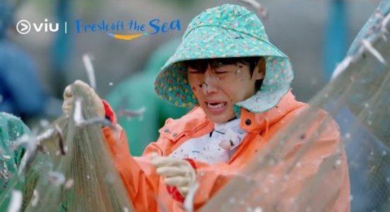 Dockside Diaries: Life’s a Beach on ‘Fresh off the Sea’ - ViuScene