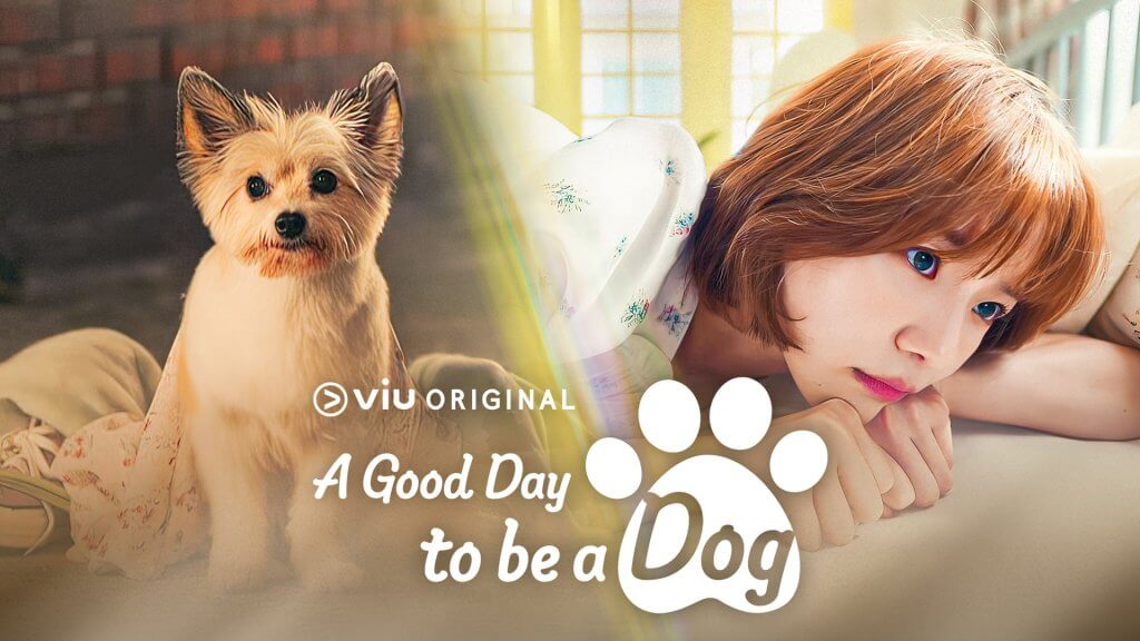 10 Viu Original K-Dramas to Watch Right Now - ViuScene