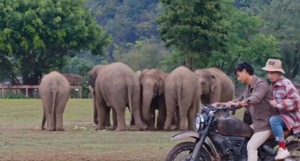 ‘Lost in the Woods’: The BEST Thai Gay TV Show on Viu - ViuScene