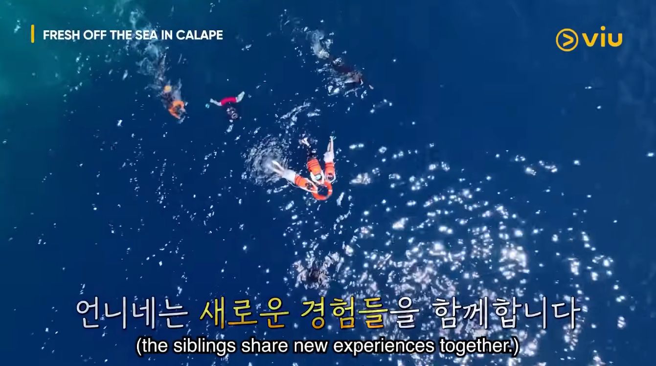 ‘Fresh off the Sea in Calape’ Korean Variety Show - ViuScene
