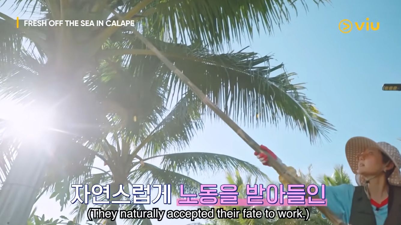 ‘Fresh off the Sea in Calape’ Korean Variety Show - ViuScene